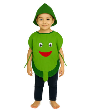 Vegetable Dresses for fancy dress competitions for kids ...